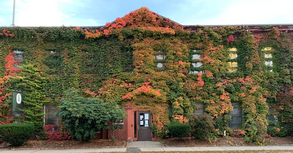 Jack Rooney – Journalist